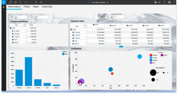 IBM Planning Analytics - 1Direction Global